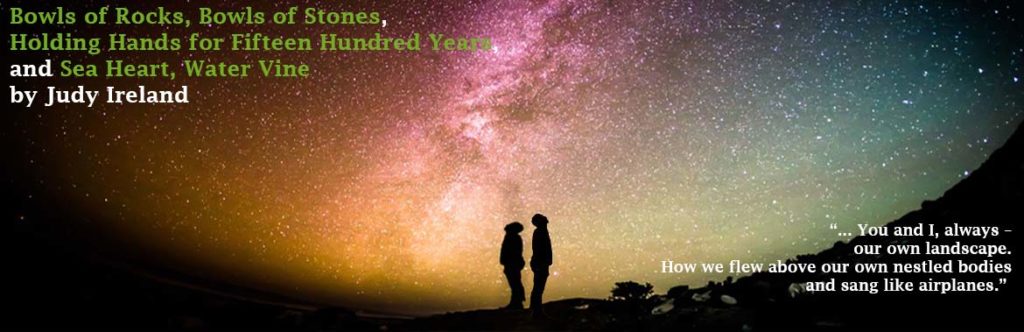 The Poetry of Judy Ireland - Sequestrum