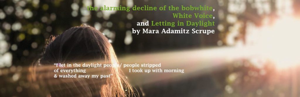 Three Poems by Mara Adamitz Scrupe - Sequestrum